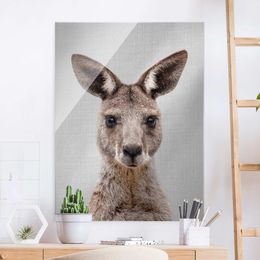 Bilderwelten Glasbild Tiere Motiv schwarz weiss Glas Wandbild - K&auml;nguru Knut - Deko Kinderzimmer Baby M&auml;dchen Jungen