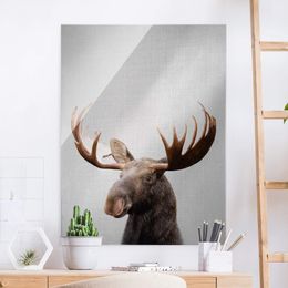Bilderwelten Glasbild Tiere Motiv schwarz weiss Glas Wandbild - Elch Erhardt - Deko Kinderzimmer Baby M&auml;dchen Jungen