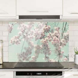 Bilderwelten Glas Spritzschutz Motiv beige Blumen - Kirschbl&uuml;tentanz auf Leinenstruktur - Kirschbl&uuml;te K&uuml;chenr&uuml;ckwand aus Glas