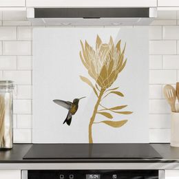 Bilderwelten Glas Spritzschutz Tropisch gold Tiere - Kolibri und tropische goldene Bl&uuml;te - Pflanzen K&uuml;chenr&uuml;ckwand aus Glas