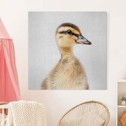 Bilderwelten Leinwandbild Baby Ente Eddie