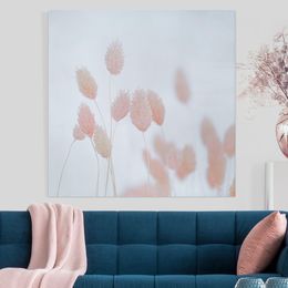 Bilderwelten Leinwandbild Rosa Gr&auml;serspitzen
