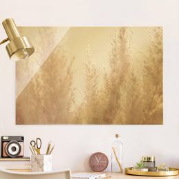 Bilderwelten Glasbild Blumen Landhaus beige Glas Wandbild - Goldenes Pampasgras Close Up - Gr&auml;ser Wohnzimmer Schlafzimmer