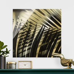 Bilderwelten Glasbild Natur Tropisch gr&uuml;n Glas Wandbild - Schattenspiel auf Palmenwedel - Palme Wohnzimmer Schlafzimmer
