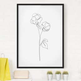 Bilderwelten Bild mit Rahmen Line Art Blumen - Mohnbl&uuml;te