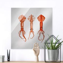 Bilderwelten Glasbild Strand Illustration rot Glas Wandbild - Vintage Illustration Rote Tintenfische - Unterwasser Wohnzimmer Schlafzimmer