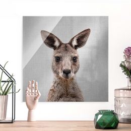 Bilderwelten Glasbild Tiere Motiv schwarz weiss Glas Wandbild - K&auml;nguru Knut - Deko Kinderzimmer Baby M&auml;dchen Jungen