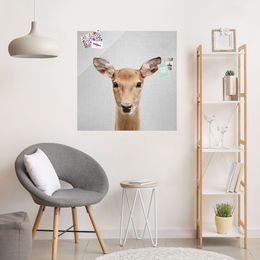 Bilderwelten Glasbild Tiere Motiv schwarz weiss Glas Wandbild - Reh Rita - Hirsch Kinderzimmer Baby M&auml;dchen Jungen