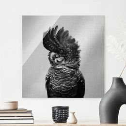Bilderwelten Glasbild Tiere Motiv schwarz weiss Glas Wandbild - Kakadu Kanye Schwarz Wei&szlig; - V&ouml;gel Kinderzimmer Baby M&auml;dchen Jungen