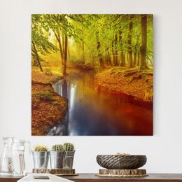 Bilderwelten Leinwandbild - Quadrat Herbstwald