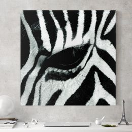 Bilderwelten Leinwandbild Tiere modern Kunstdruck Leinwanddruck - Zebra Crossing - Zebra XXL Wohnzimmer Schlafzimmer