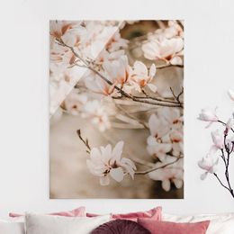 Bilderwelten Glasbild Wald Vintage braun Glas Wandbild - Magnolienzweige im Vintagestil - B&auml;ume Wohnzimmer Schlafzimmer