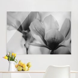 Bilderwelten Glasbild Blumen Motiv schwarz weiss Glas Wandbild - Zarte Magnolienbl&uuml;ten II - Deko Wohnzimmer Schlafzimmer