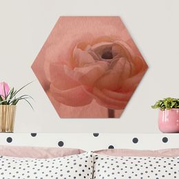 Bilderwelten Hexagon-Alu-Dibond Bild Rosa Bl&uuml;te im Fokus
