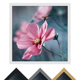 Blumen Bild mit Rahmen Marienk&auml;fer beim Start