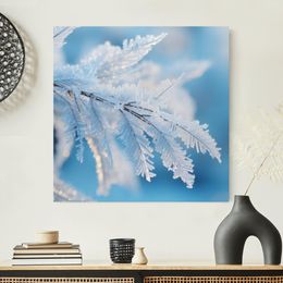 Bilderwelten Leinwandbild Tropisch Kunstdruck blau - Vereister Zweig Close-Up - Gr&auml;ser XXL Wohnzimmer Schlafzimmer