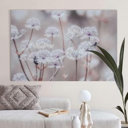 Bilderwelten Akustikbild Federleichte Wildblumen