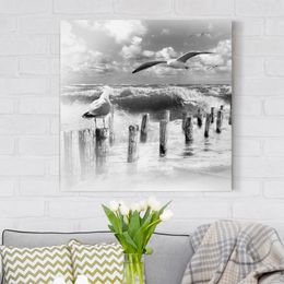 Bilderwelten Leinwandbild Strand modern Kunstdruck schwarz weiss - Absolut Sylt II - Landschaft XXL Wohnzimmer Schlafzimmer