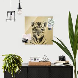Bilderwelten Glasbild Tiere Motiv schwarz weiss Glas Wandbild - Baby Tiger Thor Schwarz Wei&szlig; - Tiger Kinderzimmer Baby M&auml;dchen Jungen