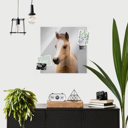 Bilderwelten Glasbild Tiere Motiv schwarz weiss Glas Wandbild - Baby Pferd Philipp - Pferde Kinderzimmer Baby M&auml;dchen Jungen
