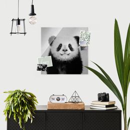 Bilderwelten Glasbild Tiere Motiv schwarz weiss Glas Wandbild - Baby Panda Prian Schwarz Wei&szlig; - Panda Kinderzimmer Baby M&auml;dchen Jungen