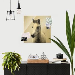 Bilderwelten Glasbild Tiere Motiv schwarz weiss Glas Wandbild - Baby Pferd Philipp Schwarz Wei&szlig; - Pferde Kinderzimmer Baby M&auml;dchen Jungen