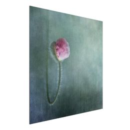 Bilderwelten Alu-Dibond Outdoor Bild Bl&uuml;te in Rosa
