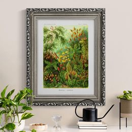 Gerahmtes Leinwandbild Vintage Lehrtafel Moos