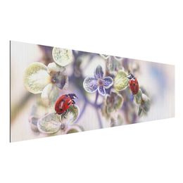 Bilderwelten Alu Dibond Outdoor Bild Blumen beige Motiv wetterfest - Marienk&auml;fer im Garten - Deko Wohnzimmer Schlafzimmer