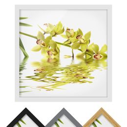 Gerahmtes Bild Elegant Orchid Waters