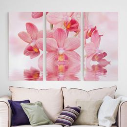 Bilderwelten 3-teiliges Leinwandbild - Querformat Rosa Orchideen auf Wasser