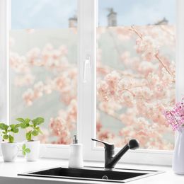 Bilderwelten Fensterfolie Blumen Landhaus Sichtschutz rosa - Kirschbl&uuml;ten Glow - Kirschbl&uuml;te Wohnzimmer Schlafzimmer K&uuml;che