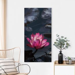 Bilderwelten Leinwandbild Wasserlilien