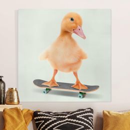Bilderwelten Leinwandbild Tiere Digital Art Kunstdruck gelb - Skate Ente - Lustig XXL Wohnzimmer Schlafzimmer