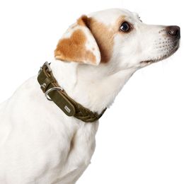 Hunter SOLID EDUCATION Special Set Halsband & F&uuml;hrleine | oliv 45 / 13/250