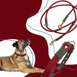Hunter MALIA Set Halsband & Leine | weinrot 60 / 10/200