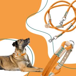 Hunter MALIA Set Halsband & Leine | apricot 40 / 8/200