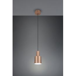 Trio Agudo Pendelleuchte Braun, 1-flammig