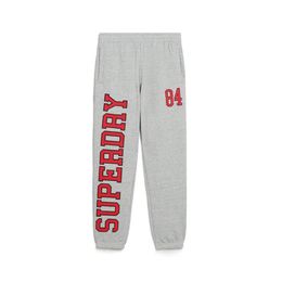 Superdry Pants female Grey size 44