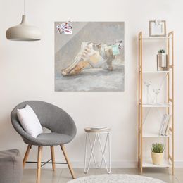 Bilderwelten Glasbild Tiere modern beige Glas Wandbild - Muschel-Studie I - Deko Wohnzimmer Schlafzimmer