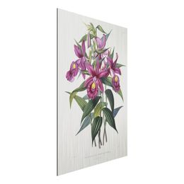 Bilderwelten Alu Dibond Outdoor Bild Blumen violett Vintage wetterfest - Maxim Gauci - Orchidee I - Orchidee Wohnzimmer Schlafzimmer