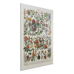 Bilderwelten Alu Dibond Outdoor Bild Blumen bunt Vintage wetterfest - Vintage Lehrtafel Blumen II - Retro Wohnzimmer Schlafzimmer