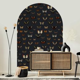 Bilderwelten Rundbogen Tapete Tiere Vintage Wandtapete blau - Vintage Schmetterlinge auf Dunkelblau - Retro Wohnzimmer Schlafzimmer