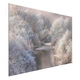 Bilderwelten Alu-Dibond Outdoor Bild Winter Song