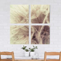 Bilderwelten 4-teiliges Leinwandbild Detailreiche Pusteblumen Makroaufnahme mit Vintage Blur Effekt