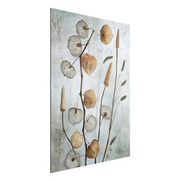 Bilderwelten Alu Dibond Outdoor Bild Blumen beige Vintage wetterfest - Lampionfr&uuml;chte im Herbst - Pflanzen Wohnzimmer Schlafzimmer