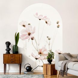 Bilderwelten Rundbogen Tapete Cosmea in zarten Cremet&ouml;nen - Schlafzimmer Wohnzimmer - hinterm Bett - halbrund rund - selbstklebend Fototapete