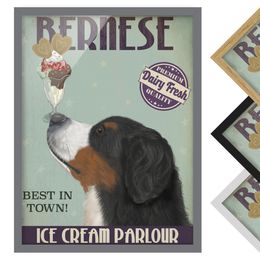 Bilderwelten Bild mit Rahmen - Hochformat Berner Sennenhund mit Eis