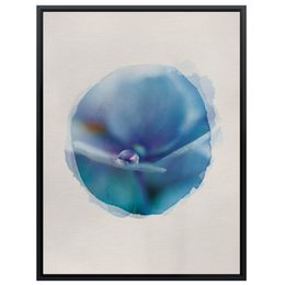 Bilderwelten Leinwandbild - Hochformat Wasserfarben - Wassertropfen Hortensienbl&uuml;te
