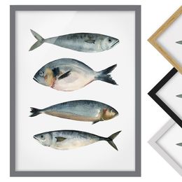 Bilderwelten Bild mit Rahmen - Hochformat Vier Fische in Aquarell II
